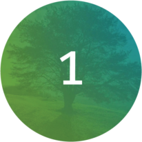 The Functional Medicine Matrix - And Example - What Is The Matrix?