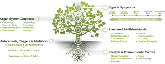 Tree-Diagram - Richmond Integrative & Functional Medicine