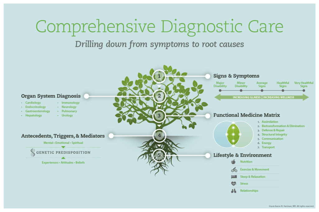 Functional Medicine: A Primer