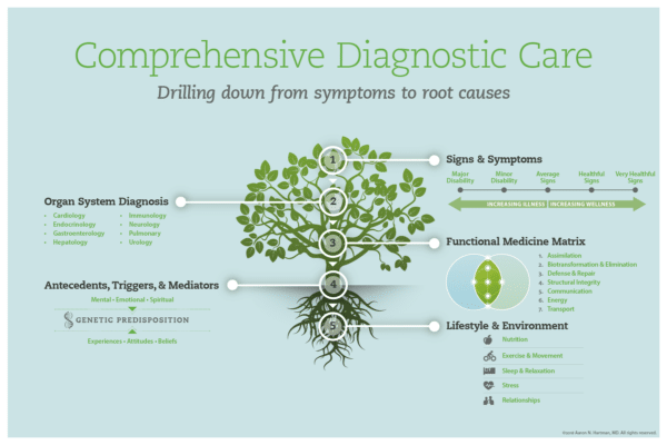 Functional Medicine: A Primer