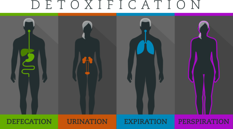 Liver Detoxification Process | Functional Medicine Doctor Explains