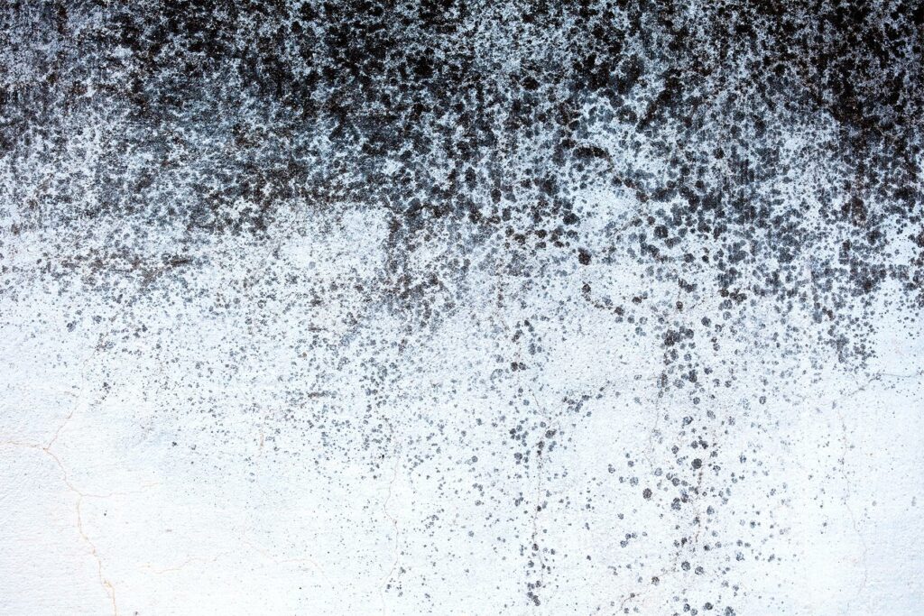 Part 3: Understanding the Biotoxin Pathway & the Labs Behind Its ...