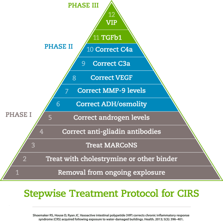 CIRS Treatment Protocol (Chronic Inflammatory Response Syndrome)