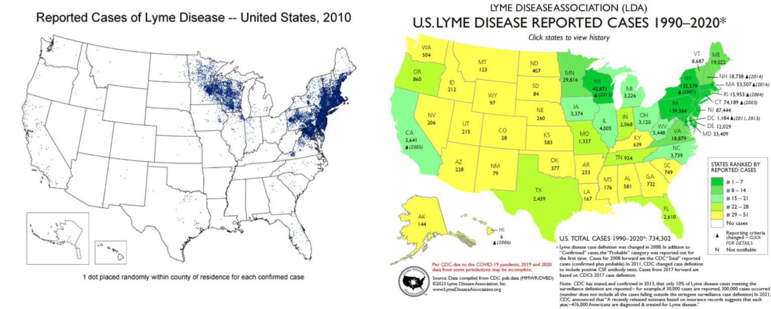 Understanding, Diagnosing, & Treating Lyme Disease
