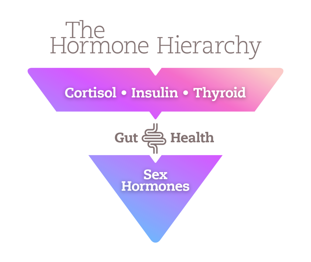 The Hormone Hierarchy