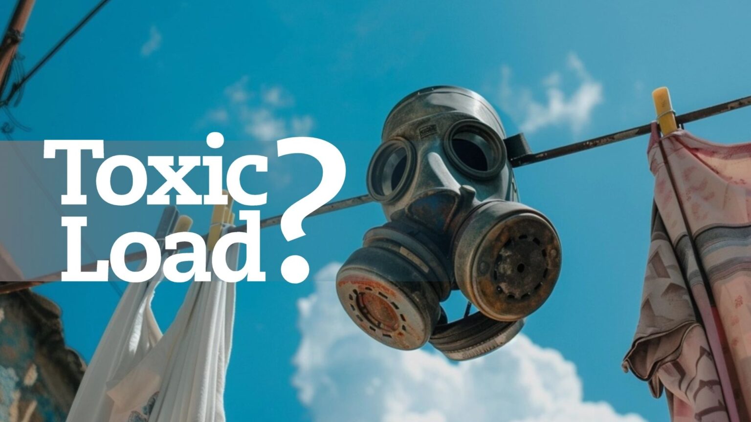 Detox Part 1: Is Toxic Load Causing Your Health Issues?